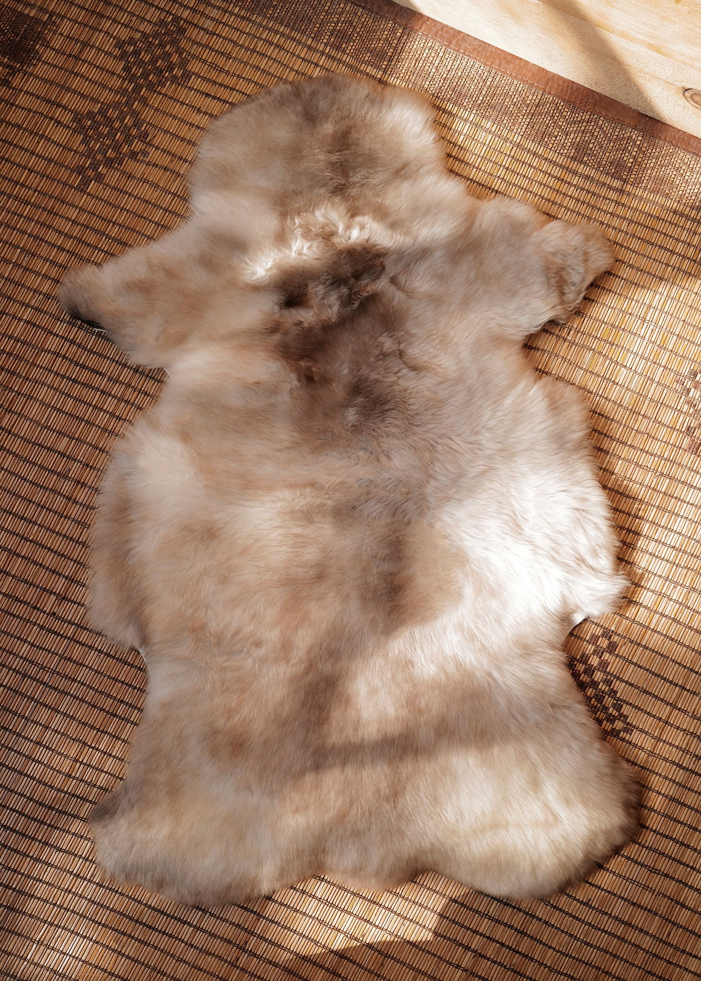 Leon Sheepskin - Slow Roads