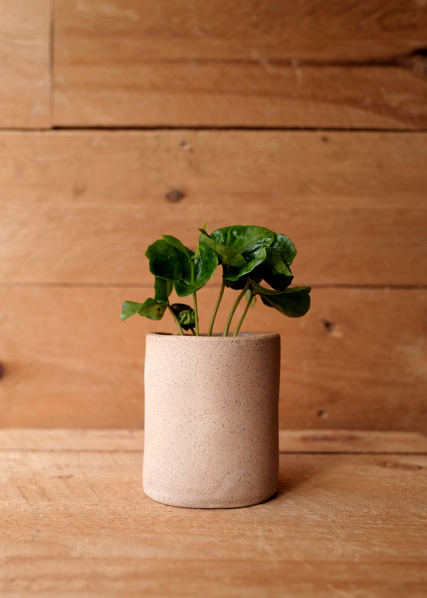 Earth Planters, Natural – Slow Roads